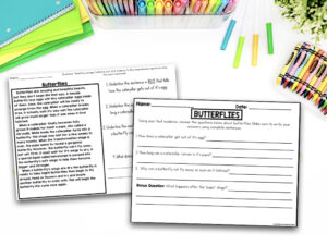 5 Spring Activities for 2nd Grade - Lip Gloss Learning and Lattes