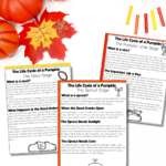 Fall Lesson Plans - Lip Gloss Learning and Lattes